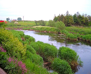 Ayrshire Rivers Trust | River Irvine