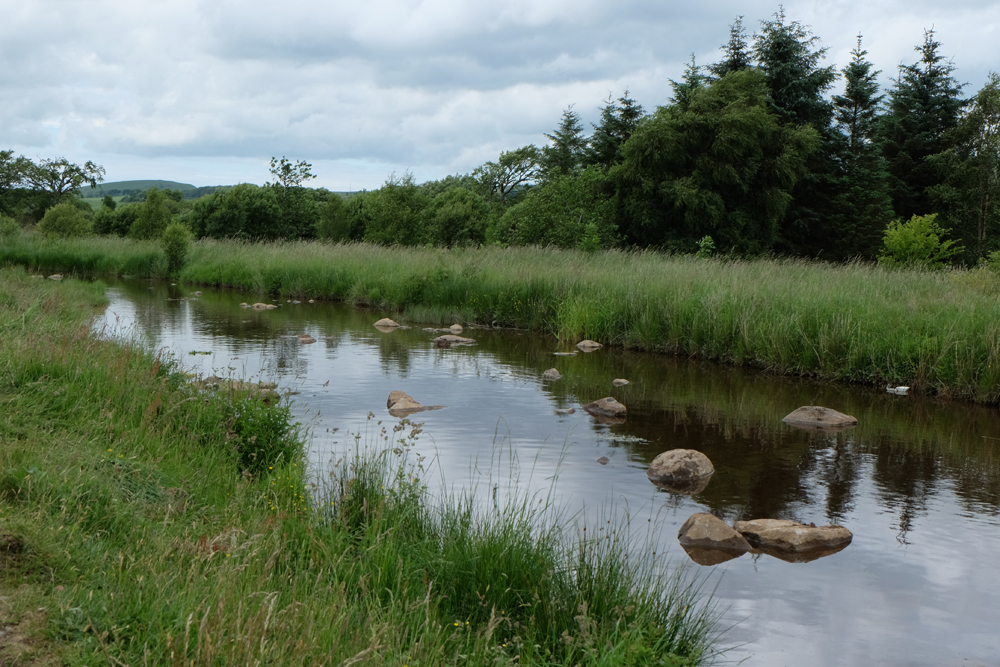 Muck Water follow up | Ayrshire Rivers Trust