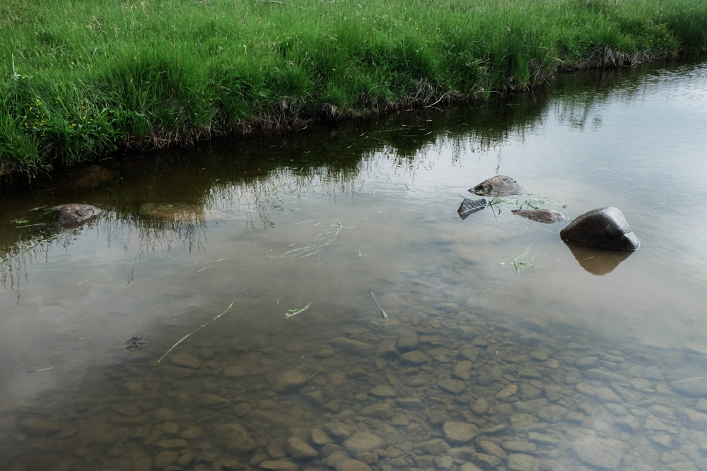 Muck Water habitat improvements | Ayrshire Rivers Trust