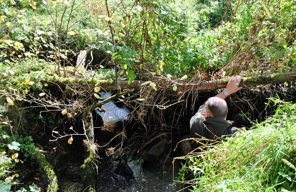 Ayrshire Rivers Trust | Netherton Burn following Slurry spill