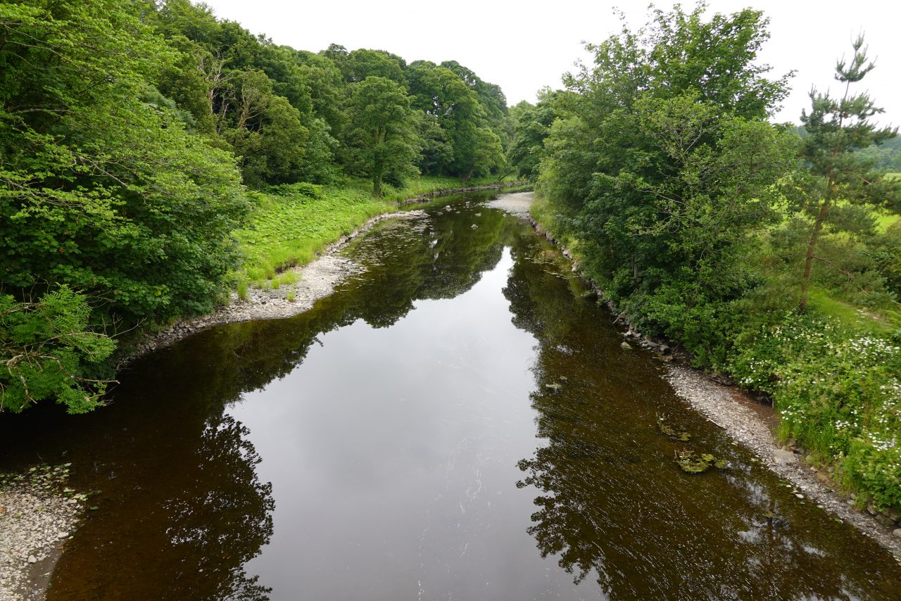 River Stinchar | Ayrshire Rivers Trust