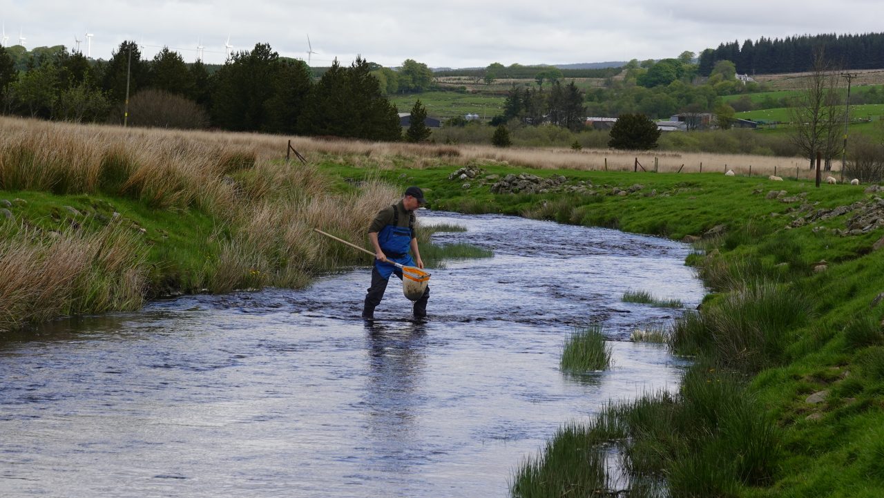 River Stinchar | Ayrshire Rivers Trust