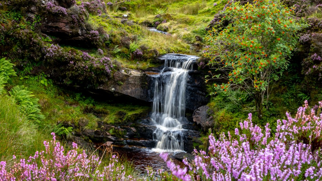 Rivers | Ayrshire Rivers Trust