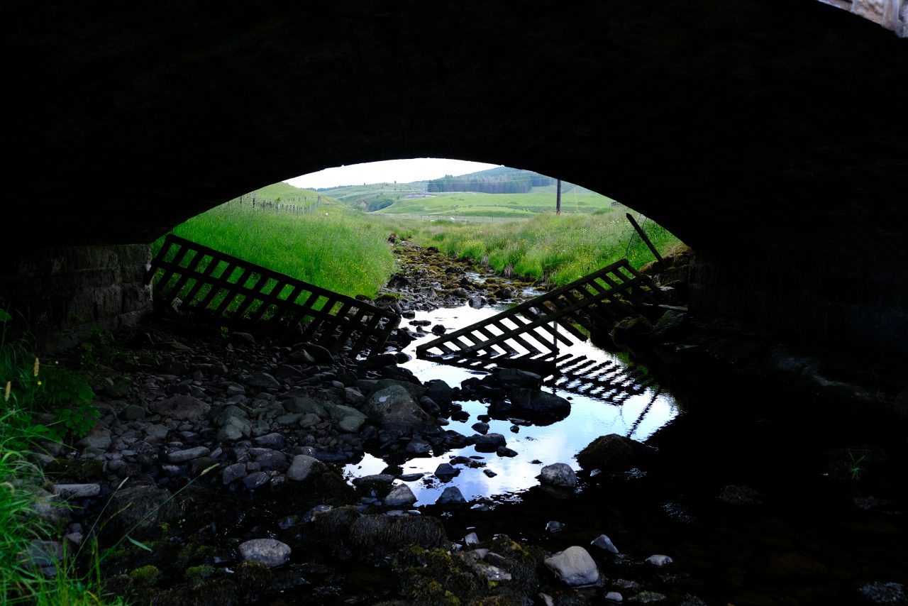 River Doon | Ayrshire Rivers Trust