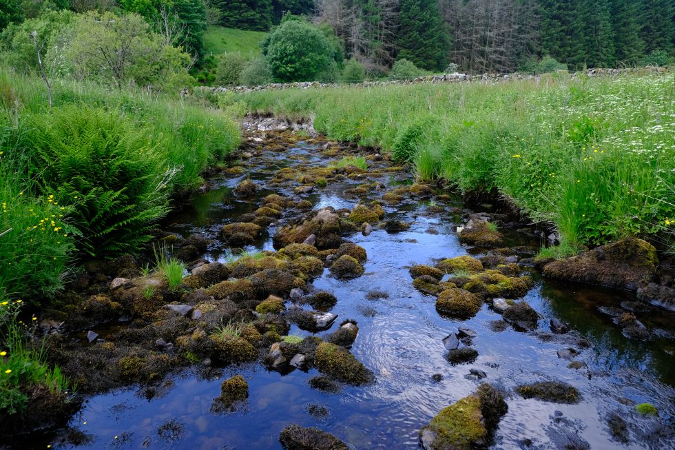 River Doon | Ayrshire Rivers Trust