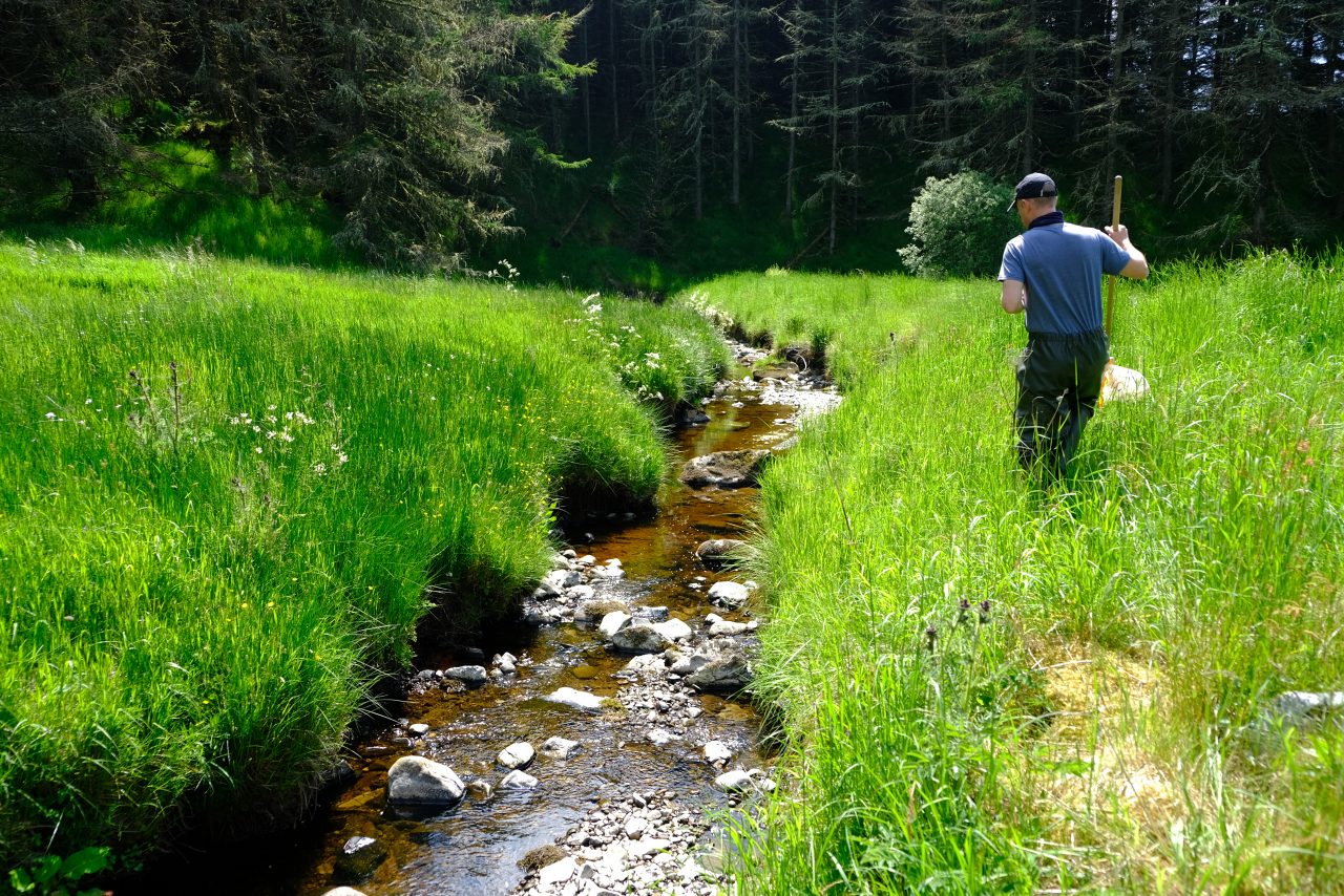 River Doon | Ayrshire Rivers Trust