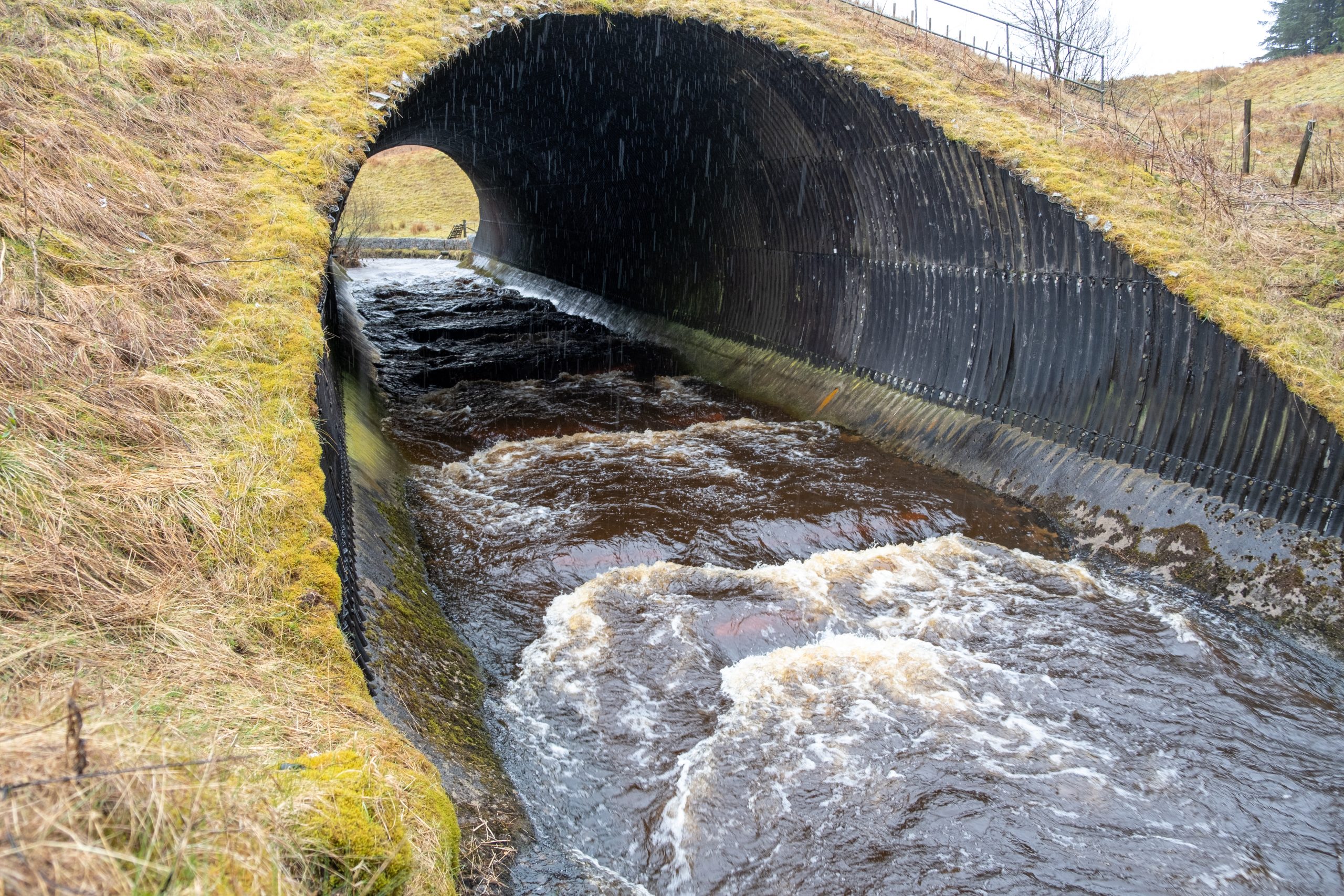 What We Do | Ayrshire Rivers Trust