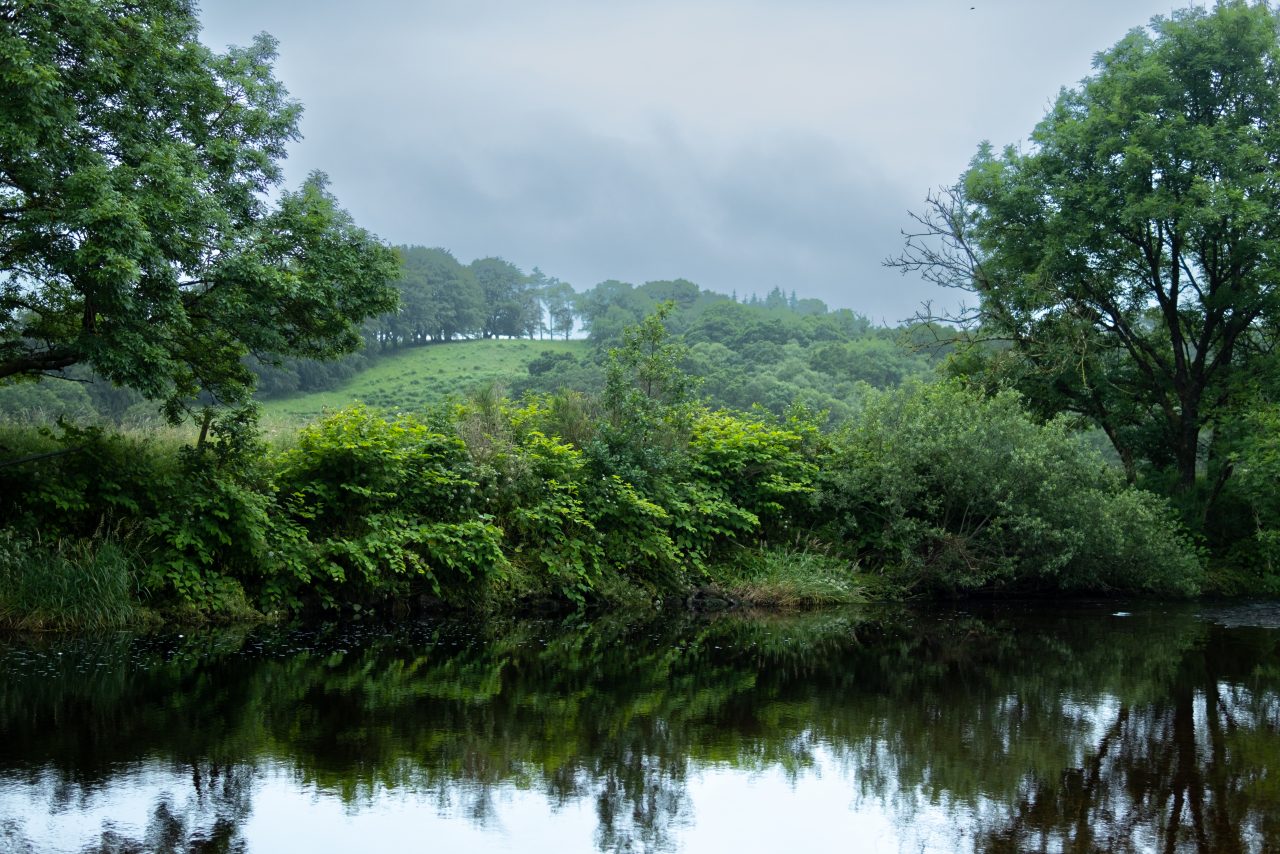 River Stinchar | Ayrshire Rivers Trust