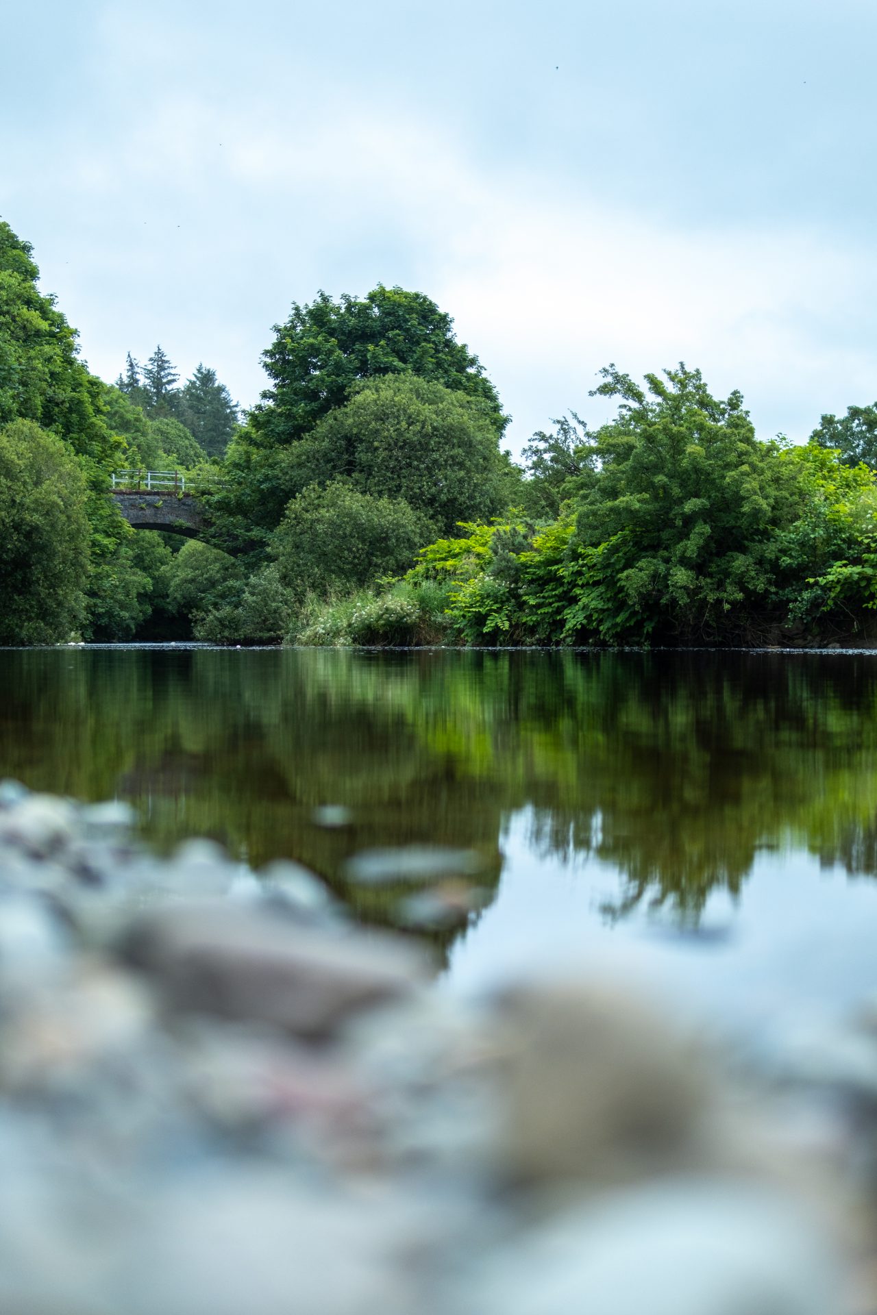 River Stinchar | Ayrshire Rivers Trust