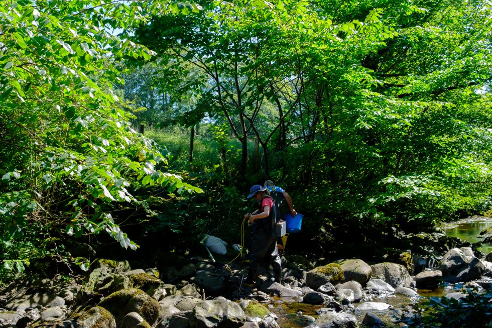 River Garnock | Ayrshire Rivers Trust