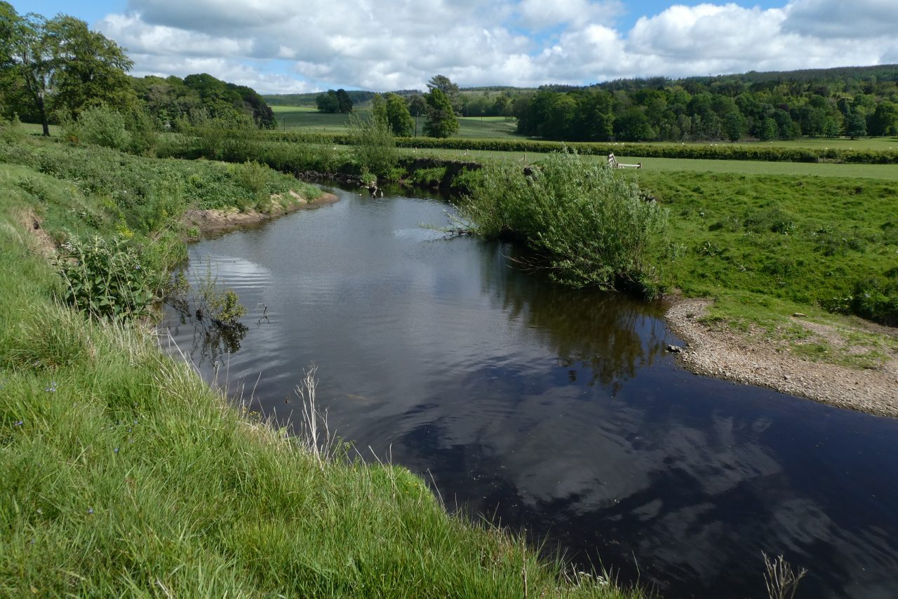 River Girvan | Ayrshire Rivers Trust
