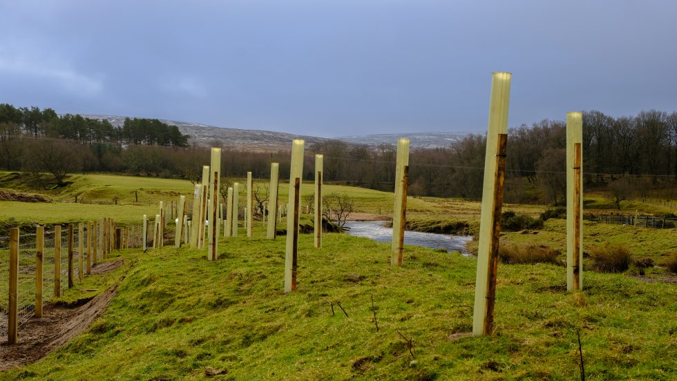 River Ayr | Ayrshire Rivers Trust