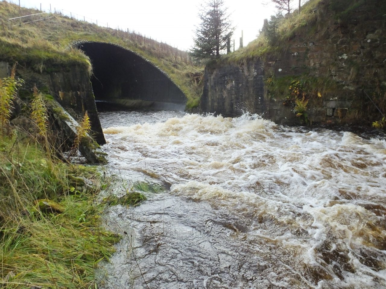 Greenock Culvert Fish Pass -2022 | Ayrshire Rivers Trust