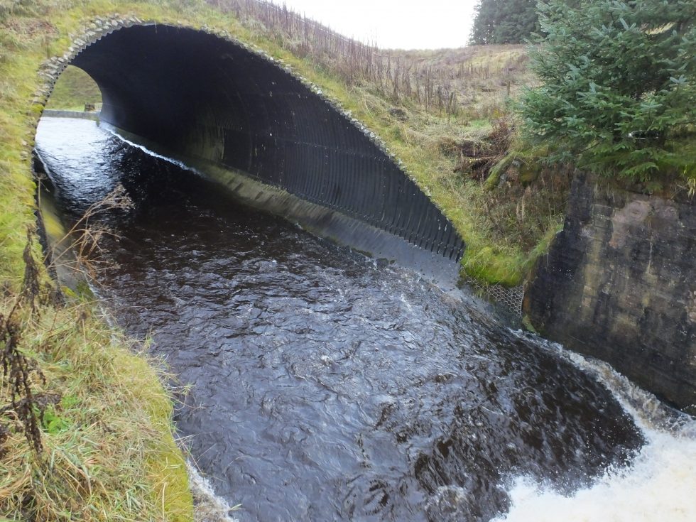 Greenock Culvert Fish Pass -2022 | Ayrshire Rivers Trust