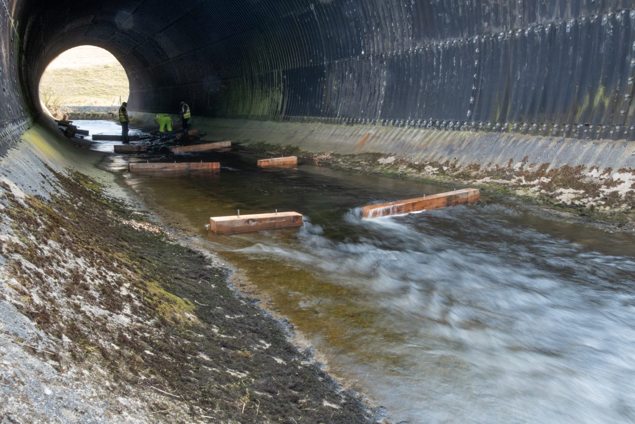 Environmental Engineering | Ayrshire Rivers Trust