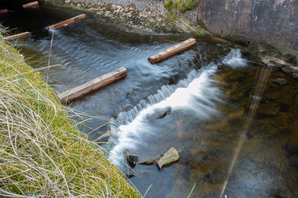 Greenock Culvert Fish Pass -2022 | Ayrshire Rivers Trust