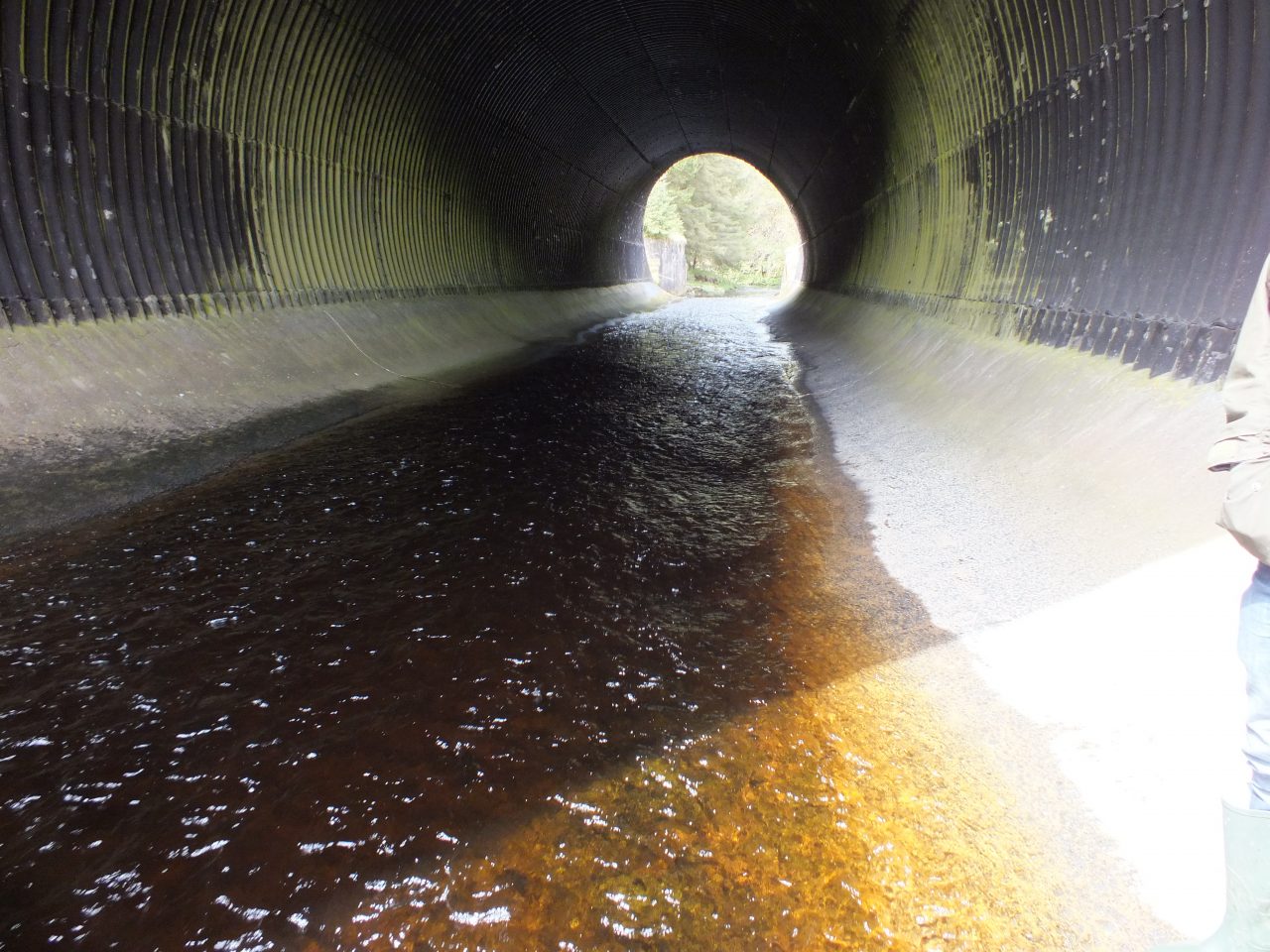 Greenock Culvert Fish Pass -2022 | Ayrshire Rivers Trust