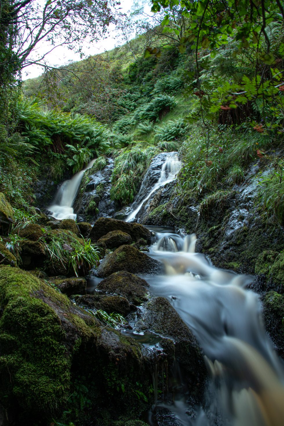 River Garnock | Ayrshire Rivers Trust