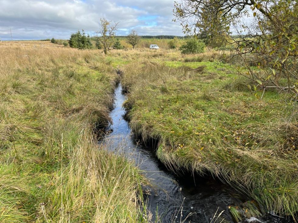 River Ayr | Ayrshire Rivers Trust