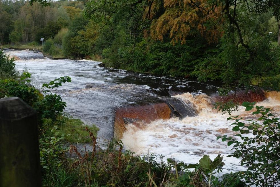 River Ayr | Ayrshire Rivers Trust