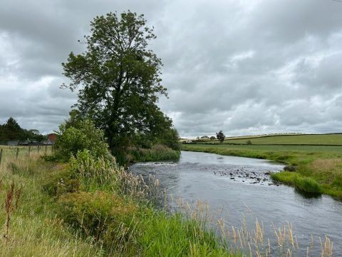 River Doon | Ayrshire Rivers Trust