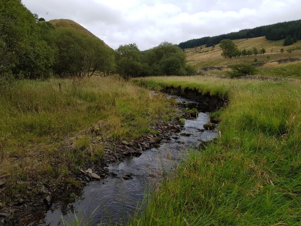 River Doon | Ayrshire Rivers Trust