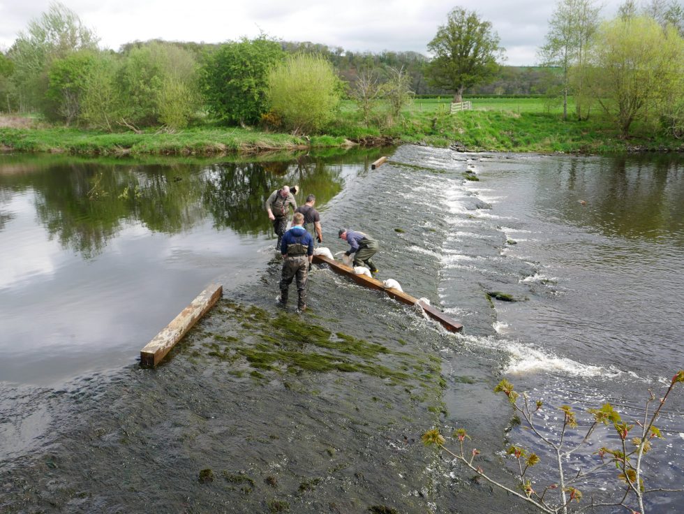 Stair Dam receives timber baulks | Ayrshire Rivers Trust