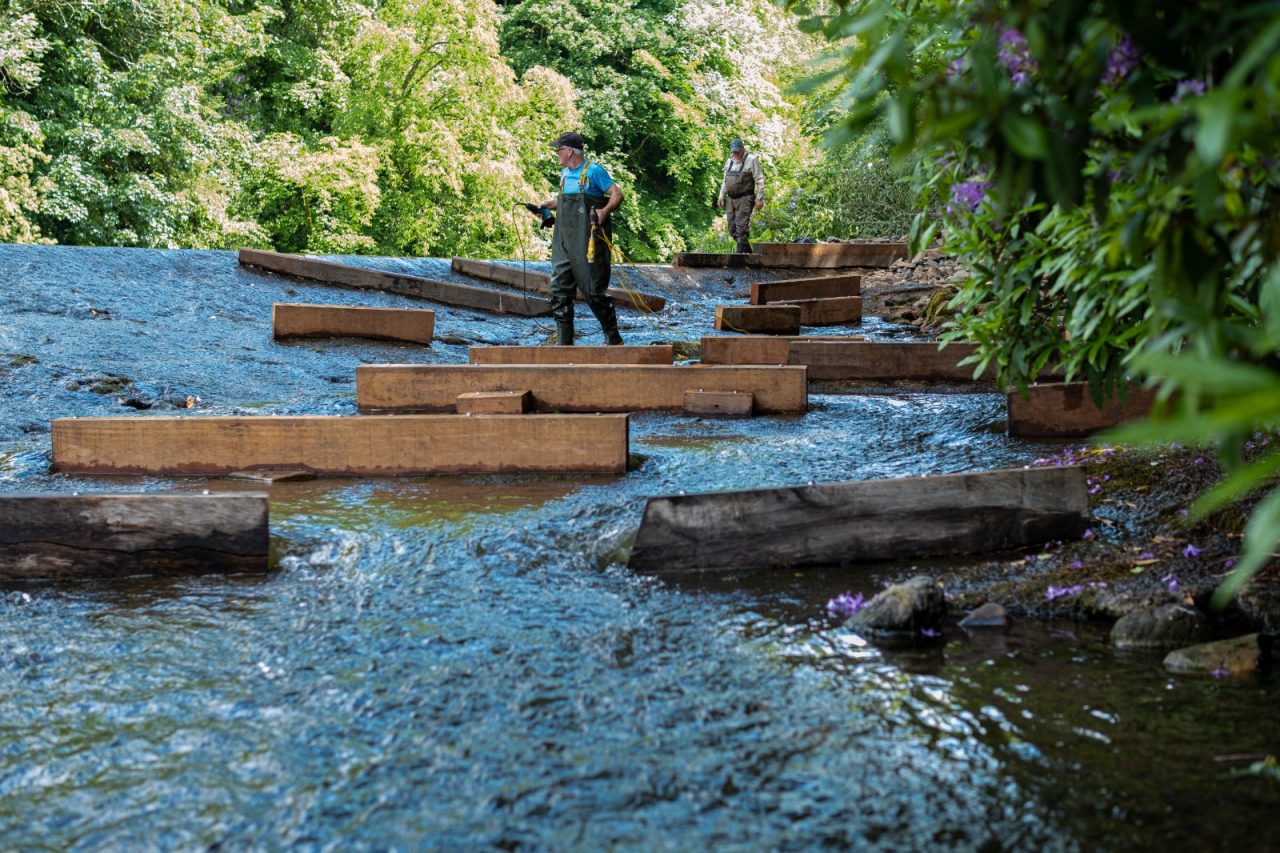 Environmental Engineering | Ayrshire Rivers Trust